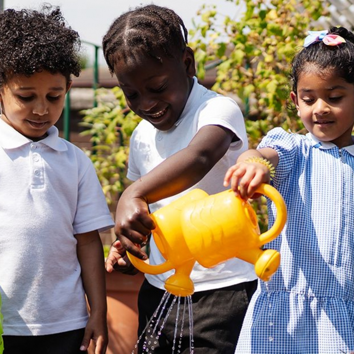 Co-op Academies Trust - Co-op Academy Woodlands recognised for its ...